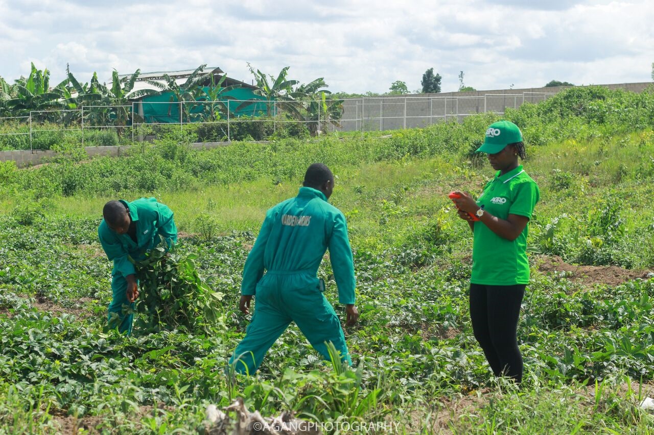 AgroMall | Modern Agriculture